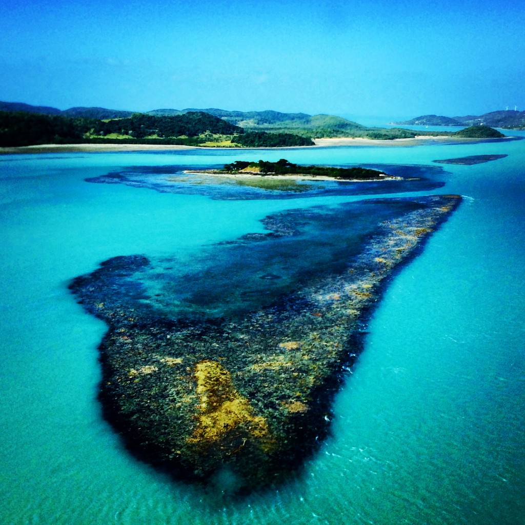 Helicopter Fishing for the best fishing charter from Cairns to the tip